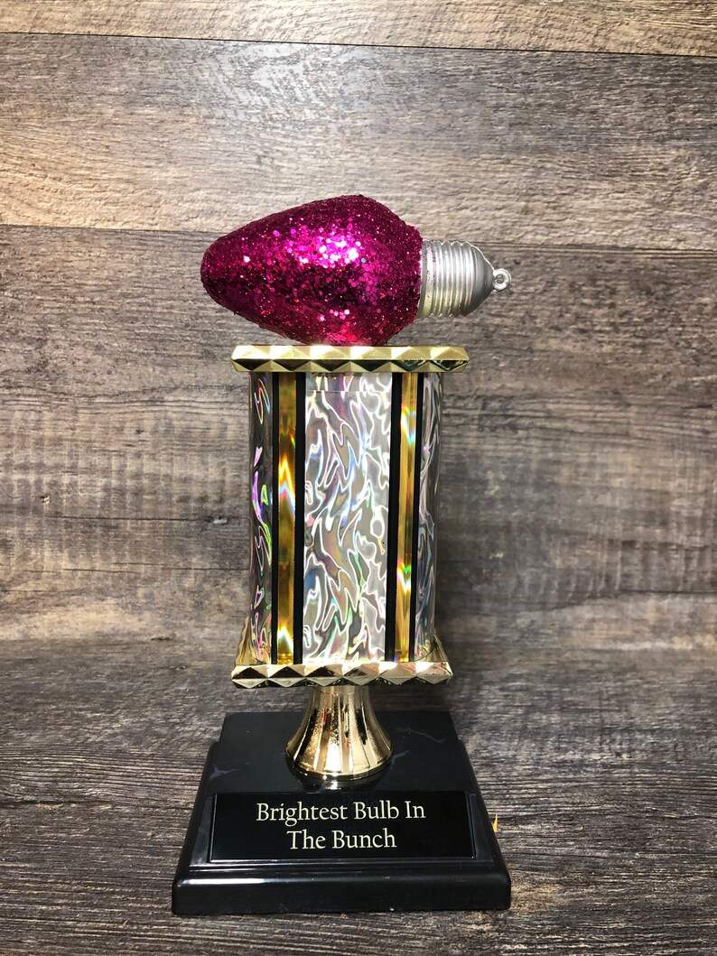 Best Decorated House Christmas Lights Trophy Neighborhood Brightest ...