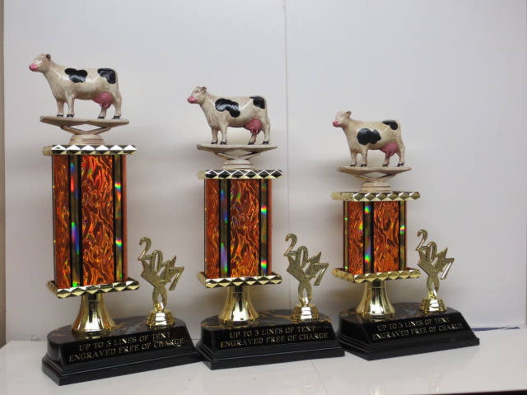 BBQ Trophy Grill Master Award Best BBQ Cook off Trophies Best Brisket ...