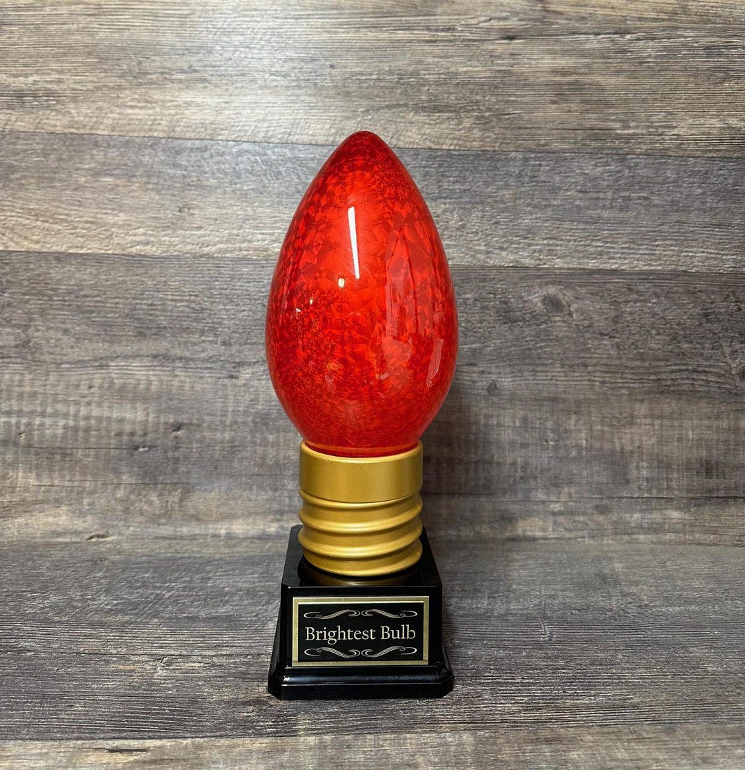 Brightest Bulb Trophy Bright Idea Corporate Award Best Decorated House ...