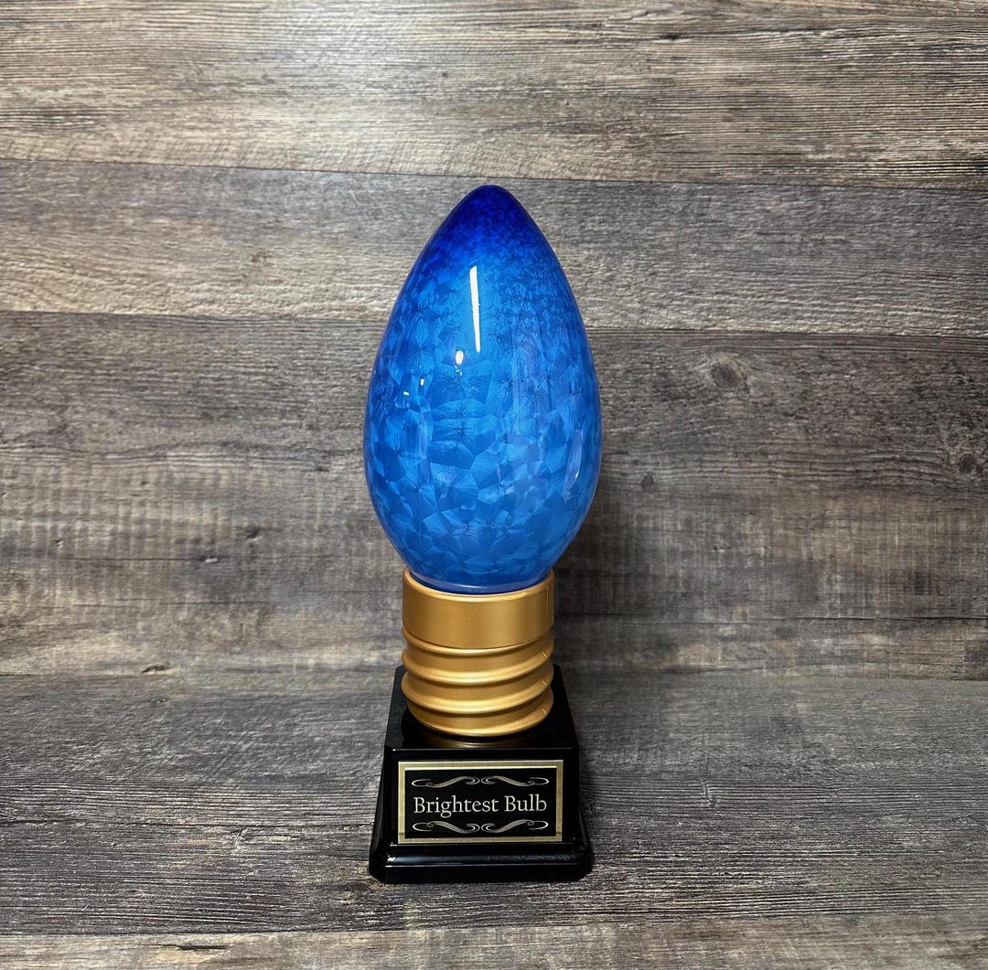 Best Decorated House Christmas Lights Trophy Neighborhood Christmas ...