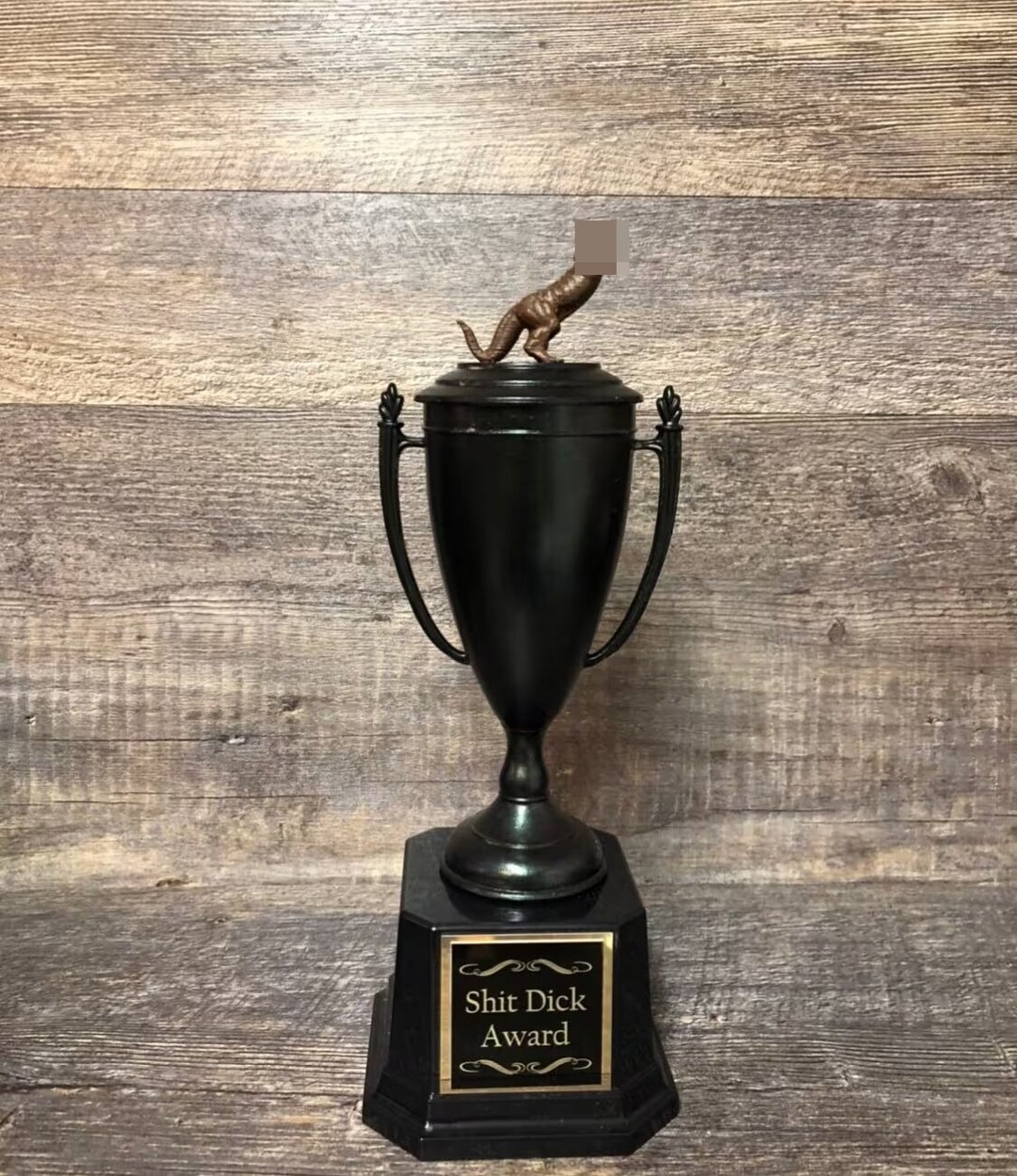 Sh!t Dick Dickasaurus Funny Trophy Iridescent Cup Award FFL Loser Award ...