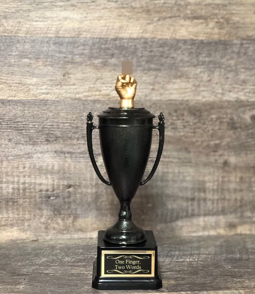 Middle Finger Funny Trophy Iridescent Cup Award FFL Loser - Etsy