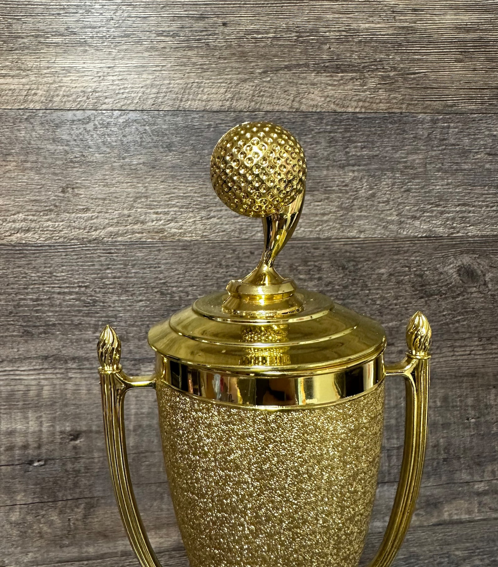 Putt Putt Golf Trophy Cup Mini Golf Tournament Trophy Hole in One Award ...