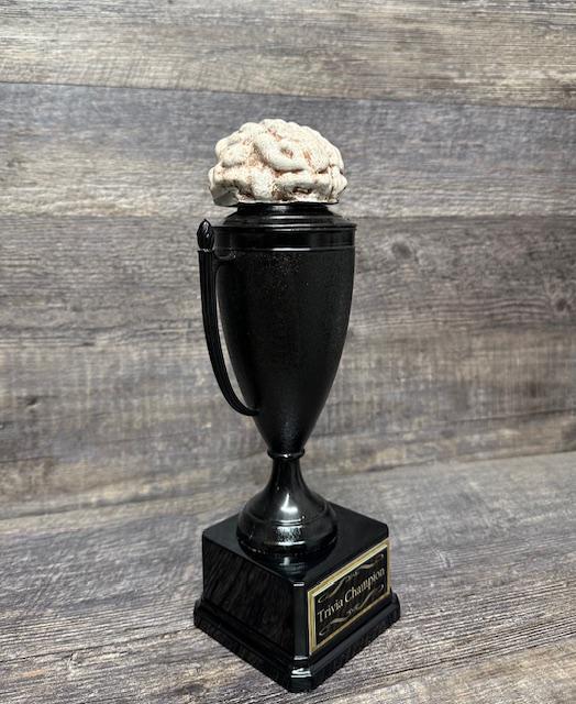 Funny Trivia Night Trophy Knowledge Bowl Brain Family Game Night Trophy ...