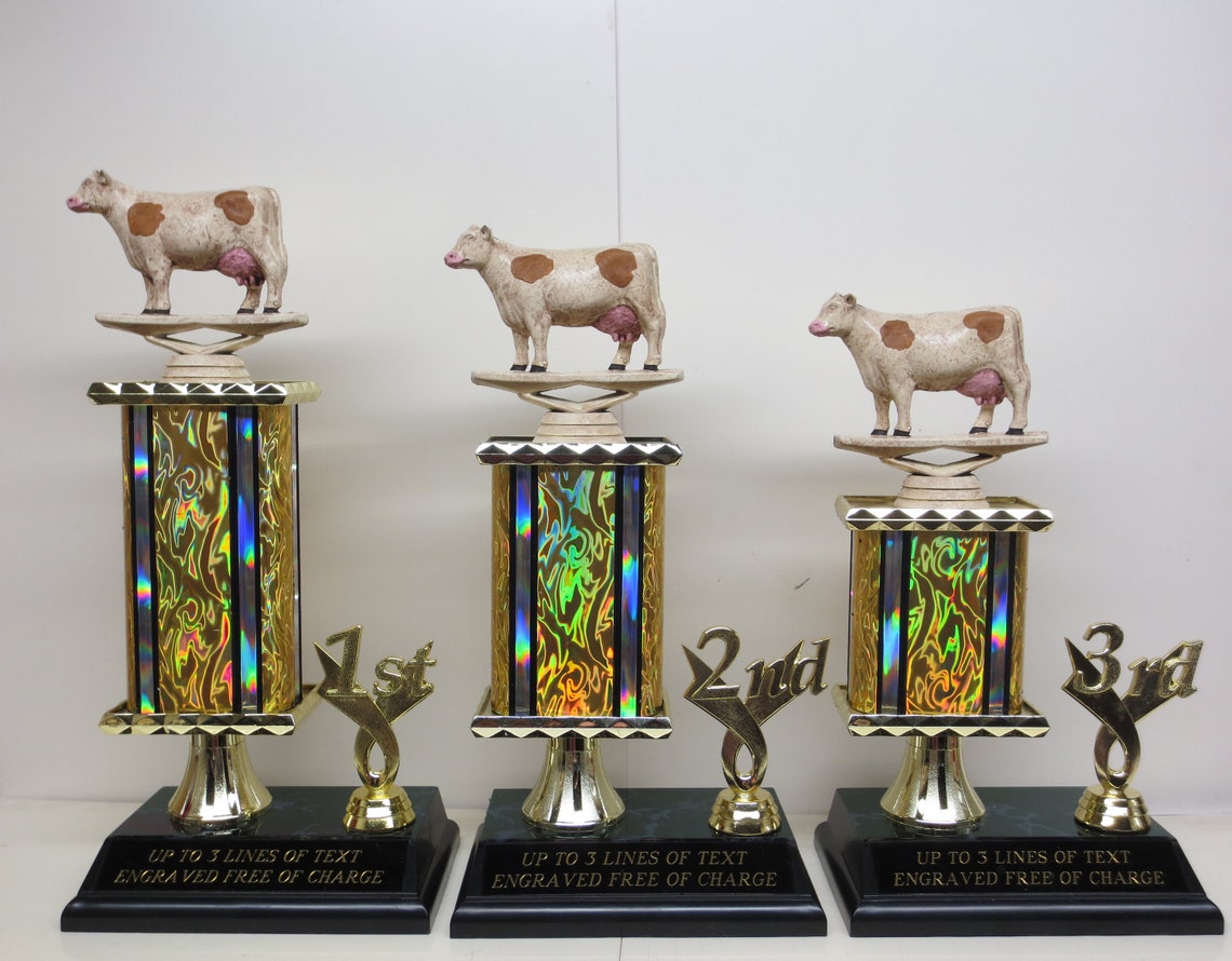BBQ Trophy Best BBQ Cook off Trophies Grill Master Trophy Award Brisket ...