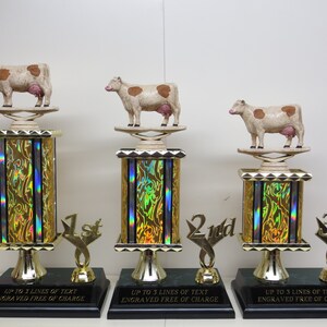 BBQ Trophy Best BBQ Cook off Trophies Grill Master Trophy Award Brisket ...