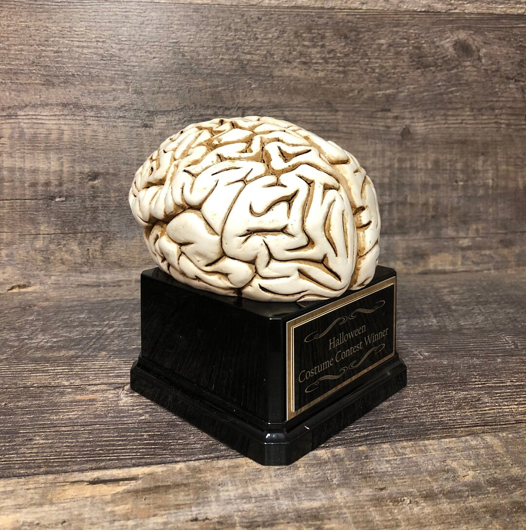 Funny Trivia Night Trophy Knowledge Bowl Brain Family Game Night Trophy ...