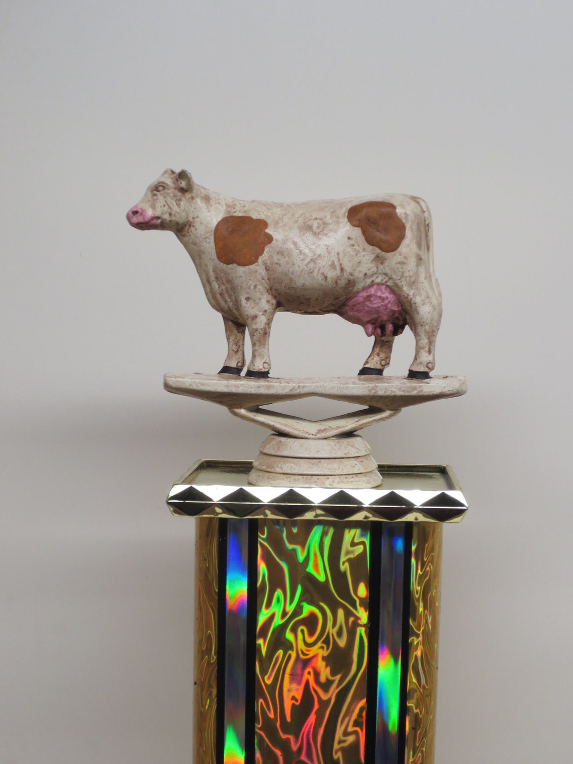 BBQ Trophy Best BBQ Cook off Trophies Brisket Best Hamburger | Etsy