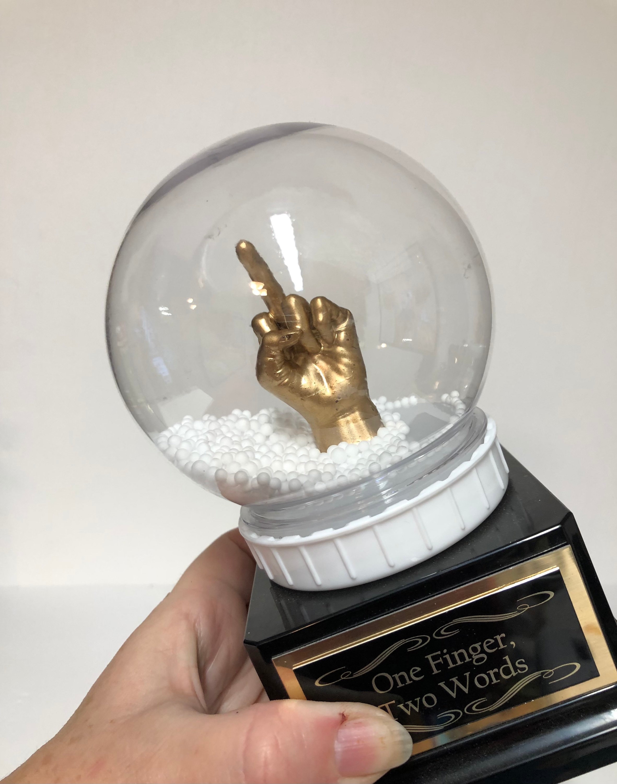 Middle Finger Funny Trophy Snow Globe FFL Loser Award Adult - Etsy