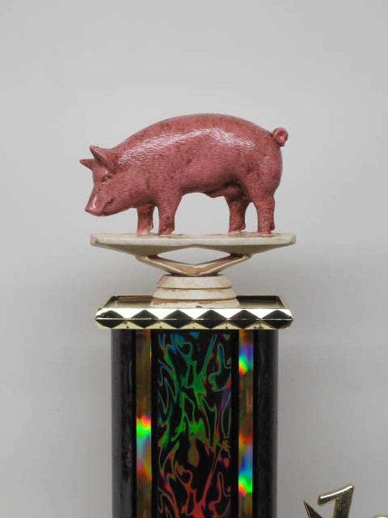 BBQ Trophy Best BBQ Cook off Trophies Ribs Pork Pig Trophy | Etsy