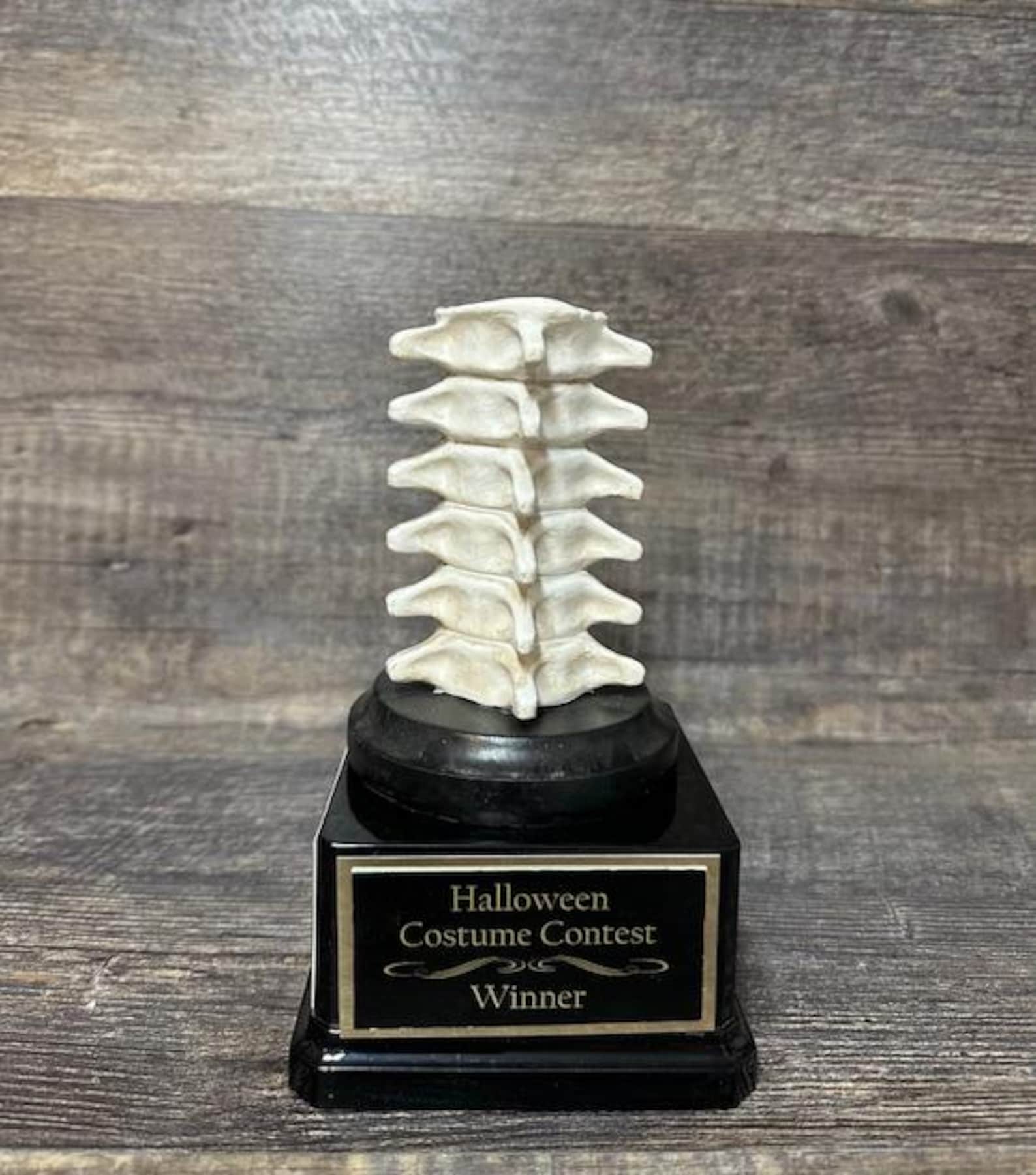 Funny Trophy Have A Backbone Spine Trophy You Finally Have A Back Bone ...