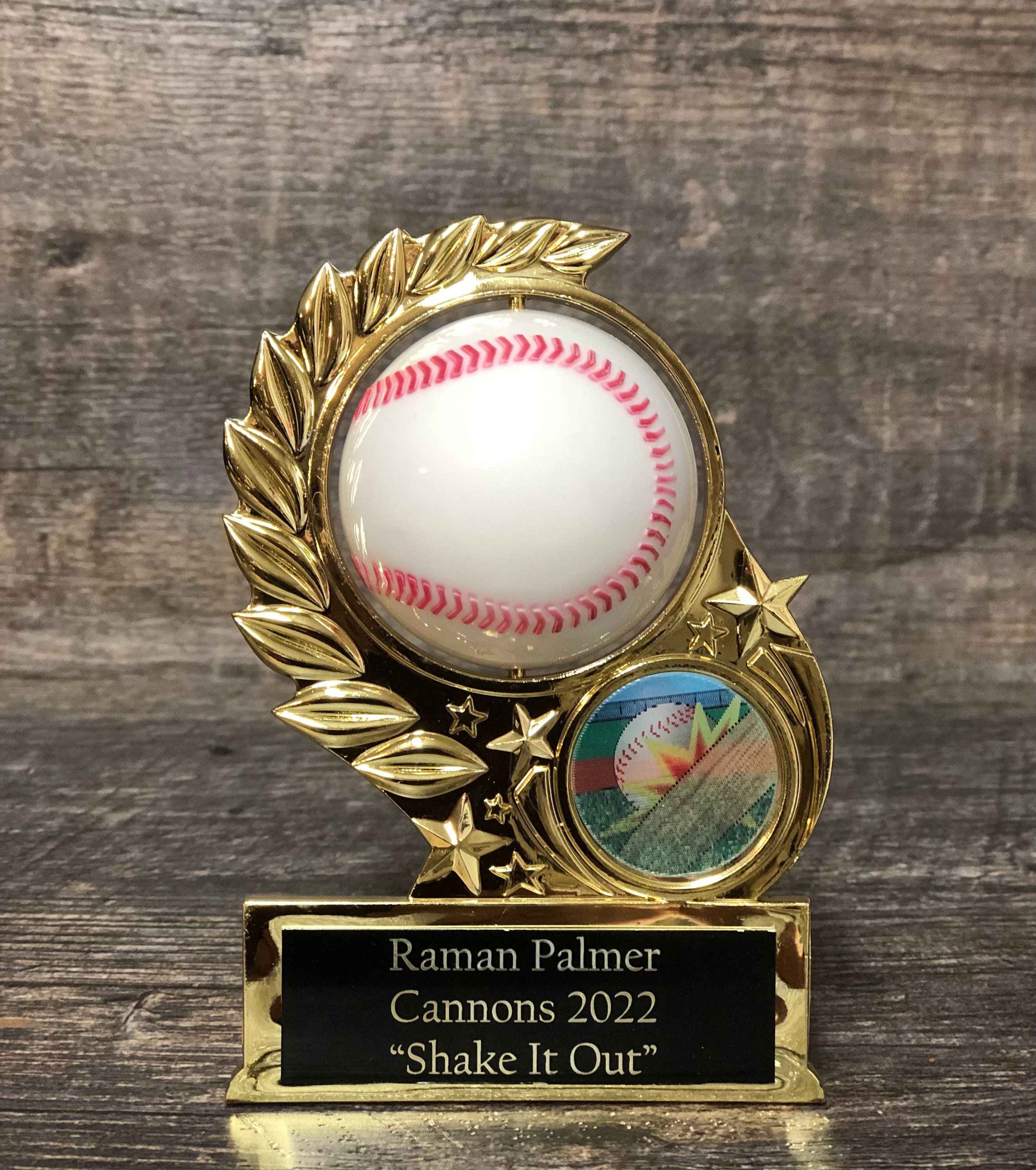SET OF 10 T-ball Trophies Kids Baseball Team Trophies League Economy ...