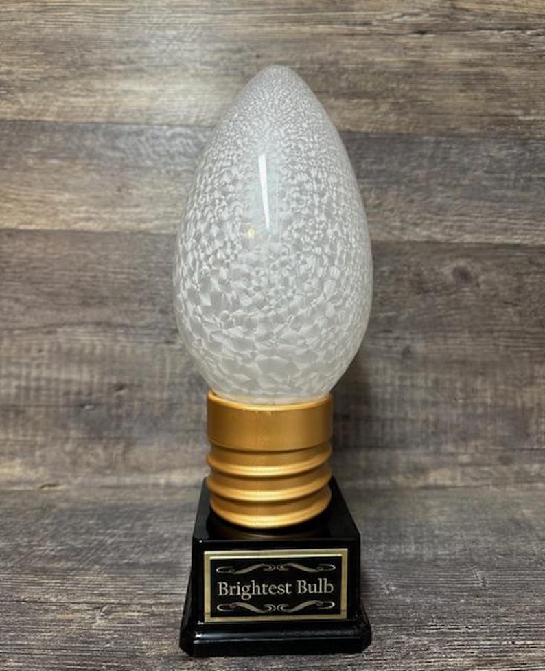 Best Decorated House Christmas Lights Trophy Neighborhood Christmas ...