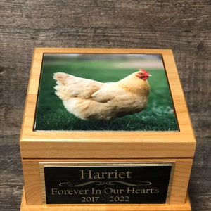 Chicken Urn Small Animal Pet Urn Hen Rooster Duck Urn Pet Memorial ...