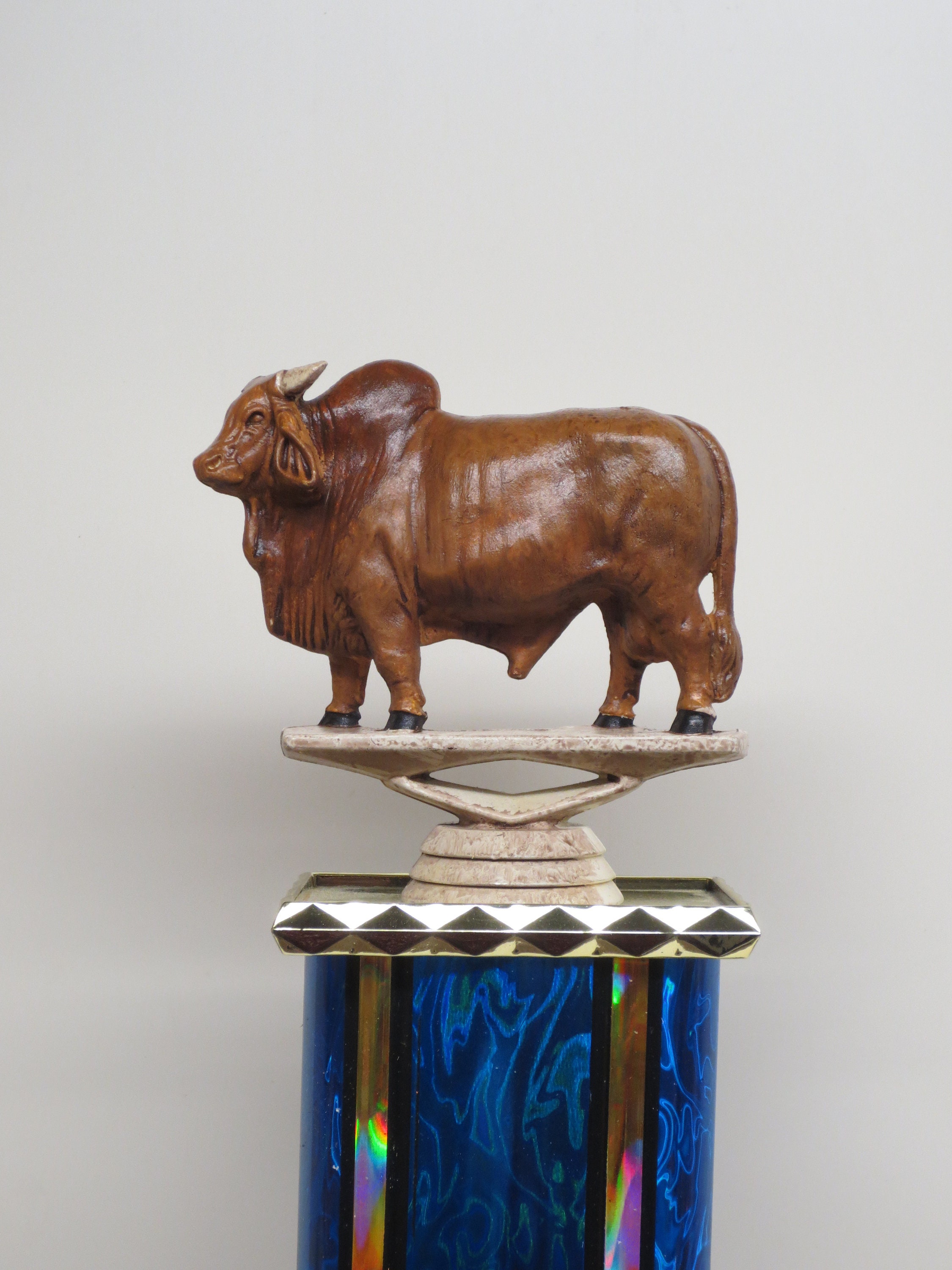 Funny Trophy No Bull Trophy BS Trophy Bullshit Award Full of Bull ...