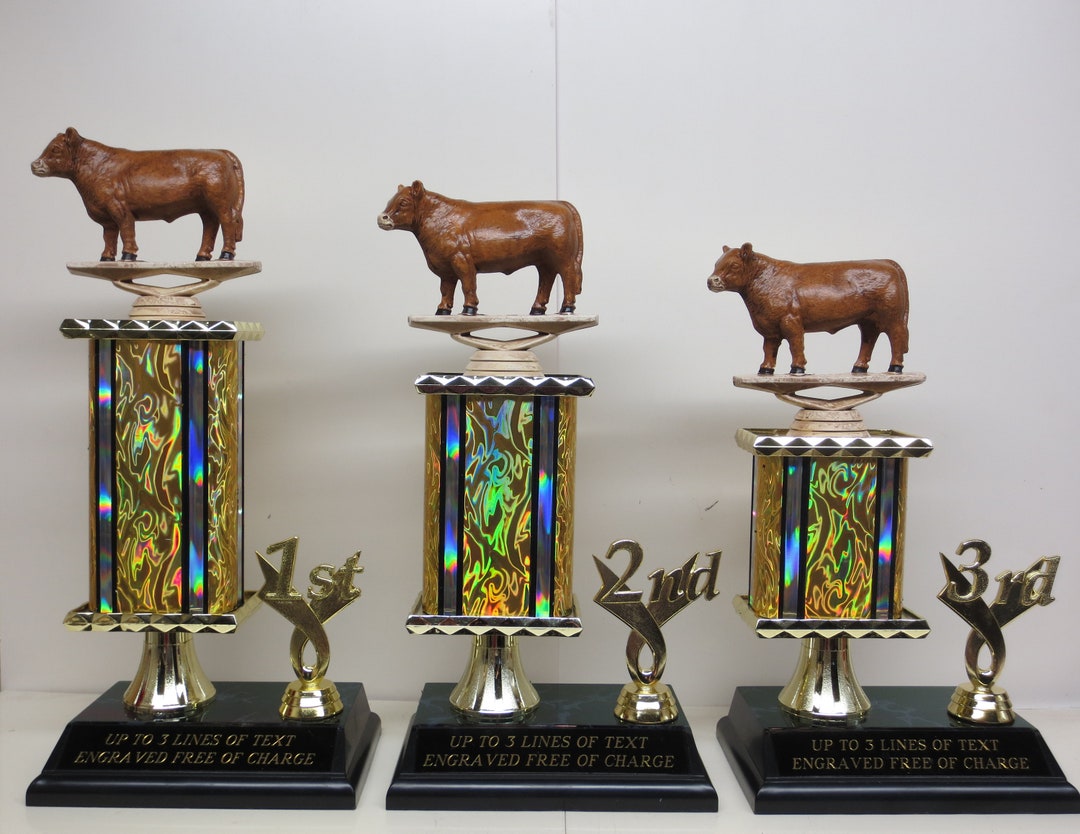 BBQ Trophies Cow Trophy Trophies Best BBQ Cook off Trophies Brisket ...