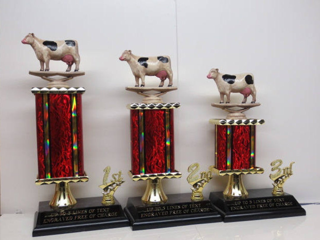 BBQ Trophy Best BBQ Cook off Trophies Set of 3 Grill Master Award ...