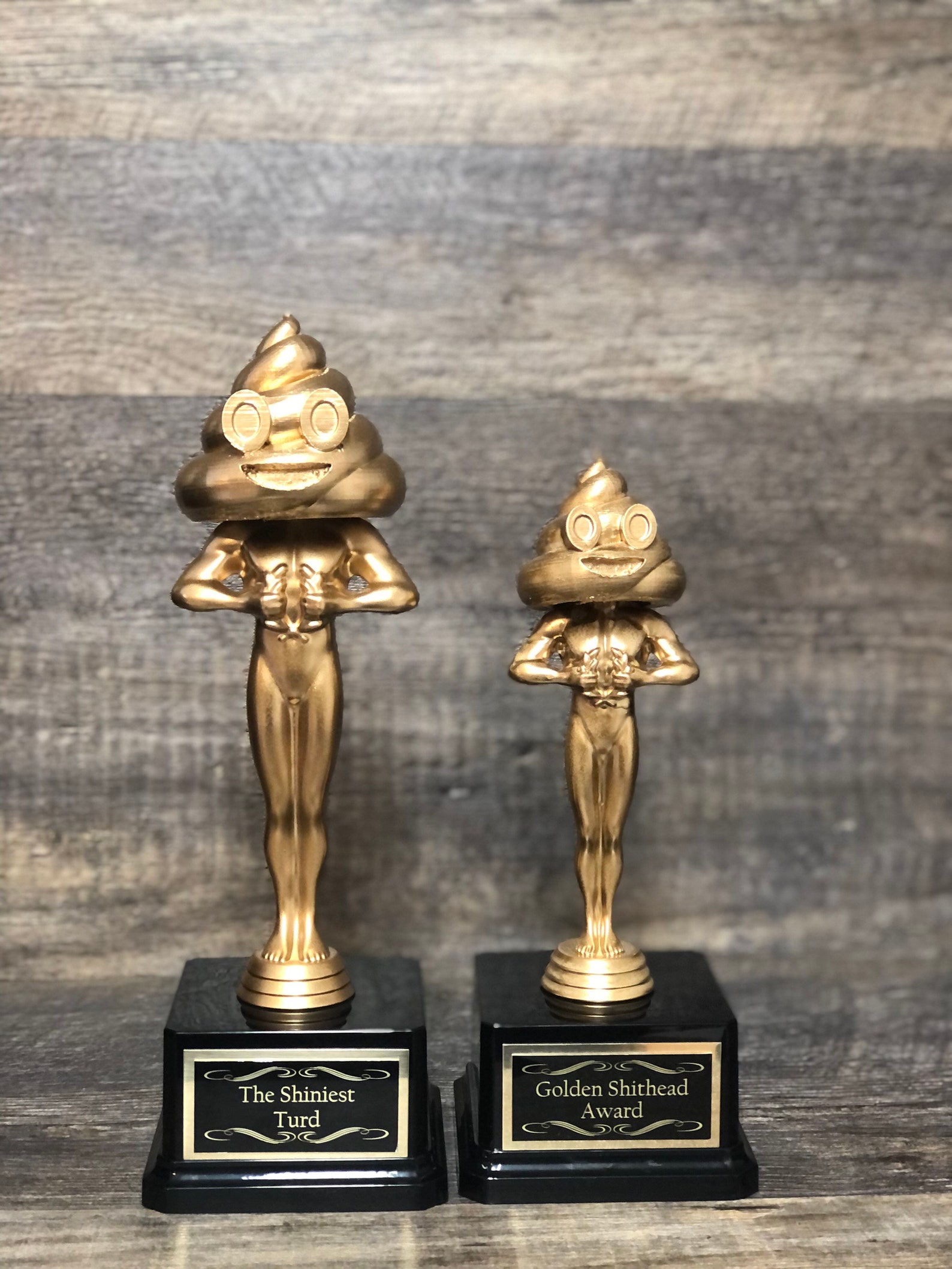 XL Golden Shit Head Funny Trophy Shiniest Turn Award LOSER - Etsy Israel