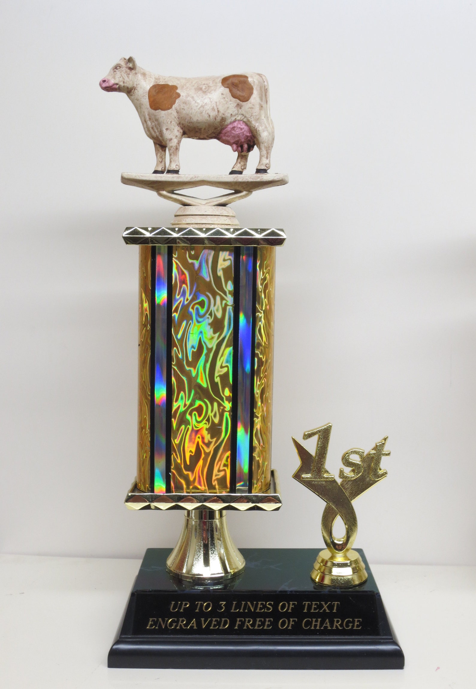 BBQ Trophy Best BBQ Cook off Trophies Brisket Best Hamburger | Etsy