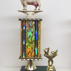 BBQ Trophy Best BBQ Cook off Trophies Grill Master Trophy Award Brisket ...