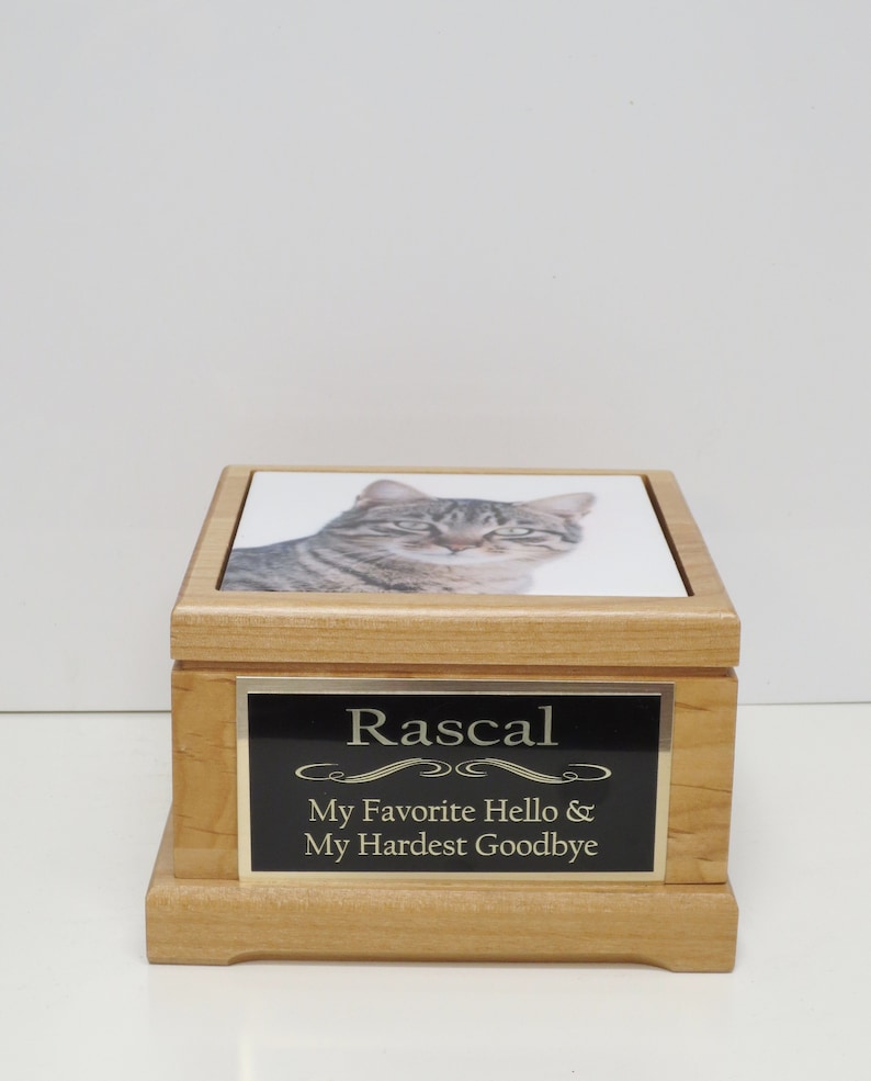 Cat Urn Pet Urn Pet Memorial Keepsake Box Cremation Urn Kitty | Etsy