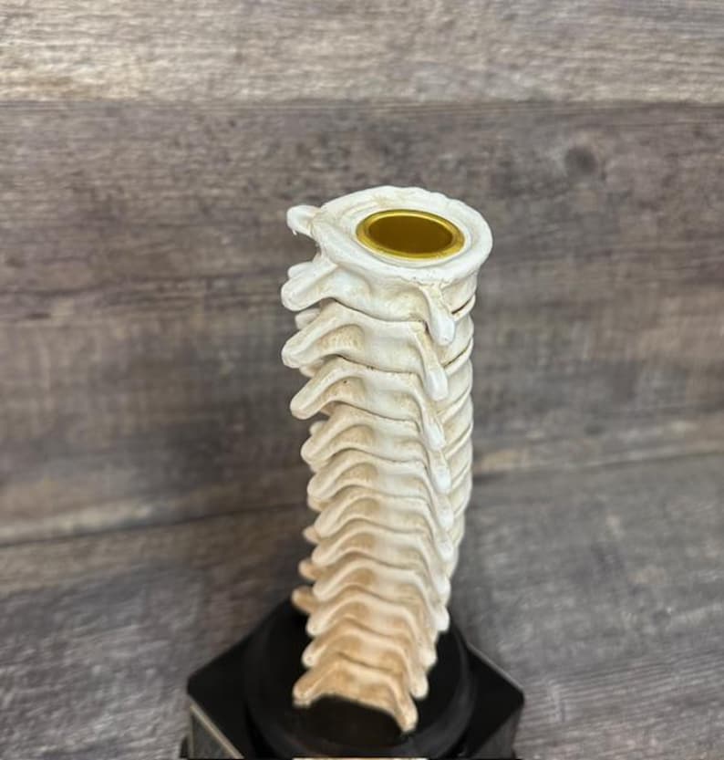 Funny Trophy Have A Backbone Spine Trophy You Finally Have A Back Bone ...