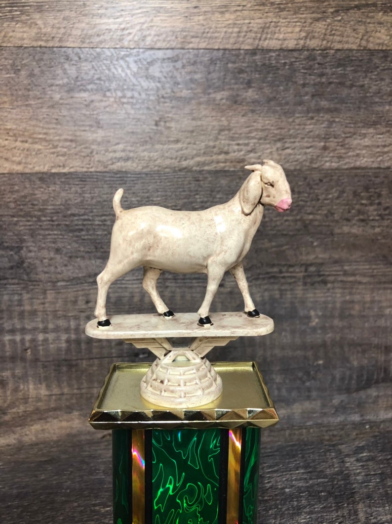 Fantasy Football Trophy Funny GOAT Greatest of All Time Award | Etsy