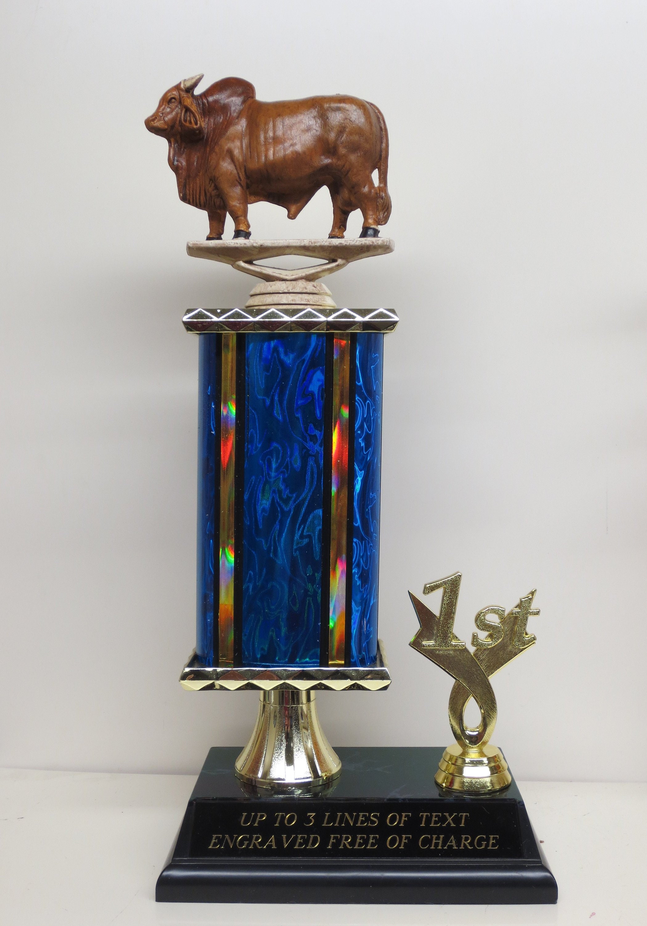Funny Trophy No Bull Trophy BS Trophy Bullshit Award Full of - Etsy Canada