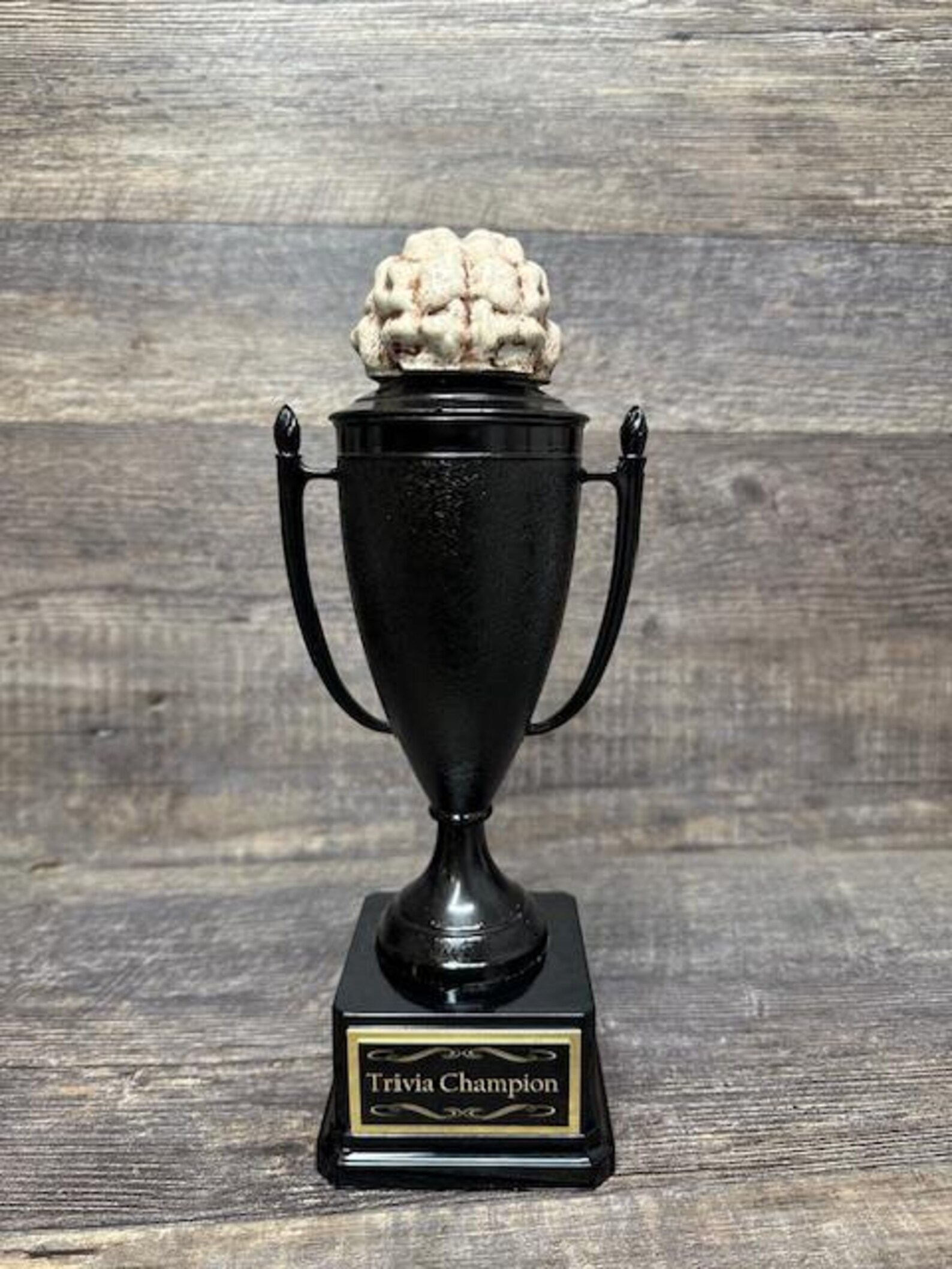 Brain Trophy Funny Trivia Night Trophy Knowledge Bowl Family Game Night ...