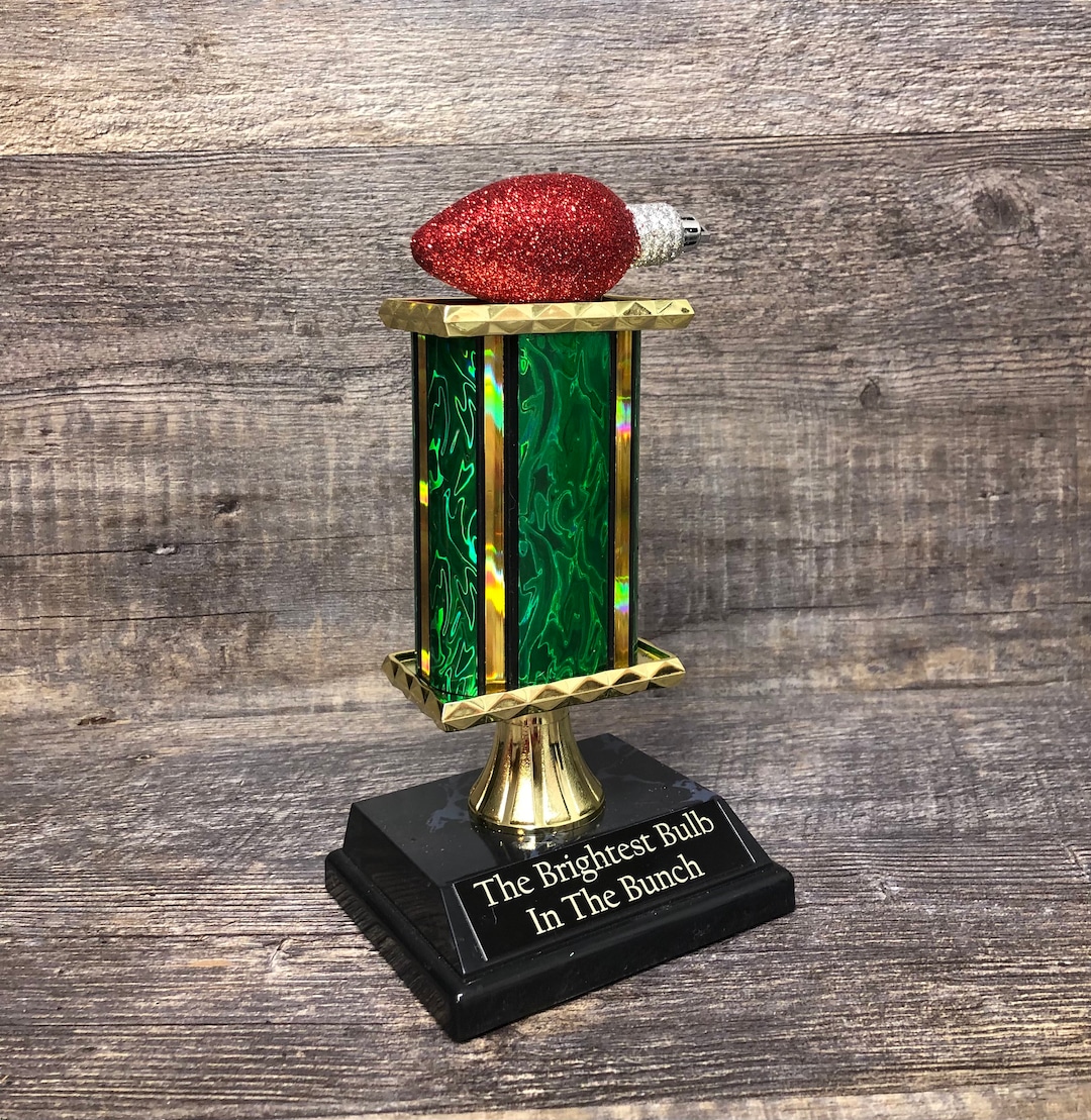 Best Decorated House Christmas Lights Trophy Neighborhood Brightest ...