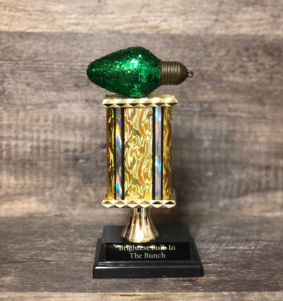 Best Decorated House Christmas Lights Trophy Neighborhood Brightest ...