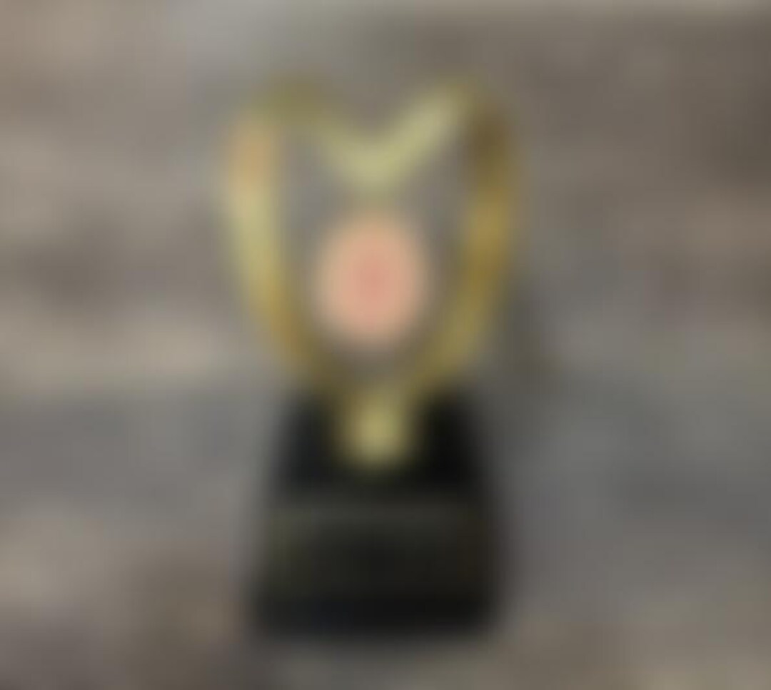 Biggest Butthole Funny Trophy Loser Trophy Last Place Trophy Asshole ...