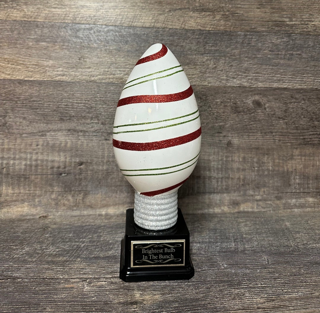 Best Decorated House Christmas Lights Trophy Neighborhood Christmas ...