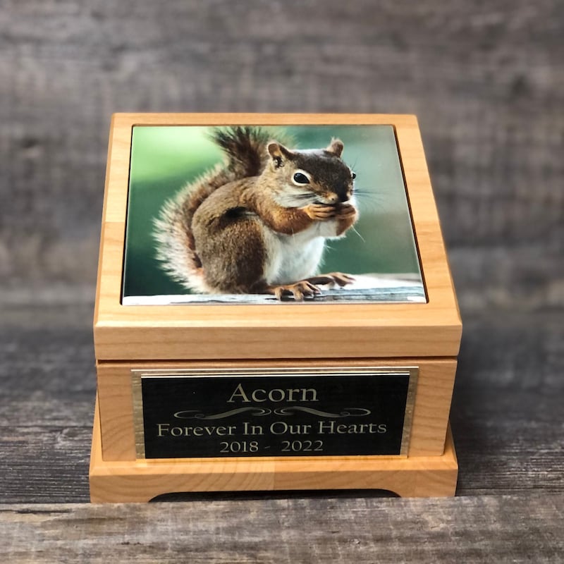 Squirrel Box - Etsy