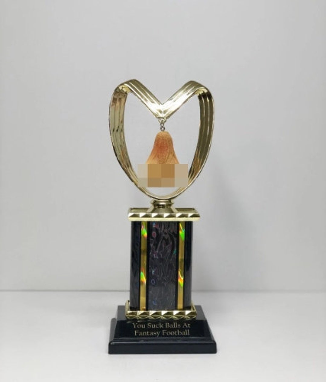 Fantasy Football Funny Trophy Sacko You Suck Balls Loser Trophy Last ...