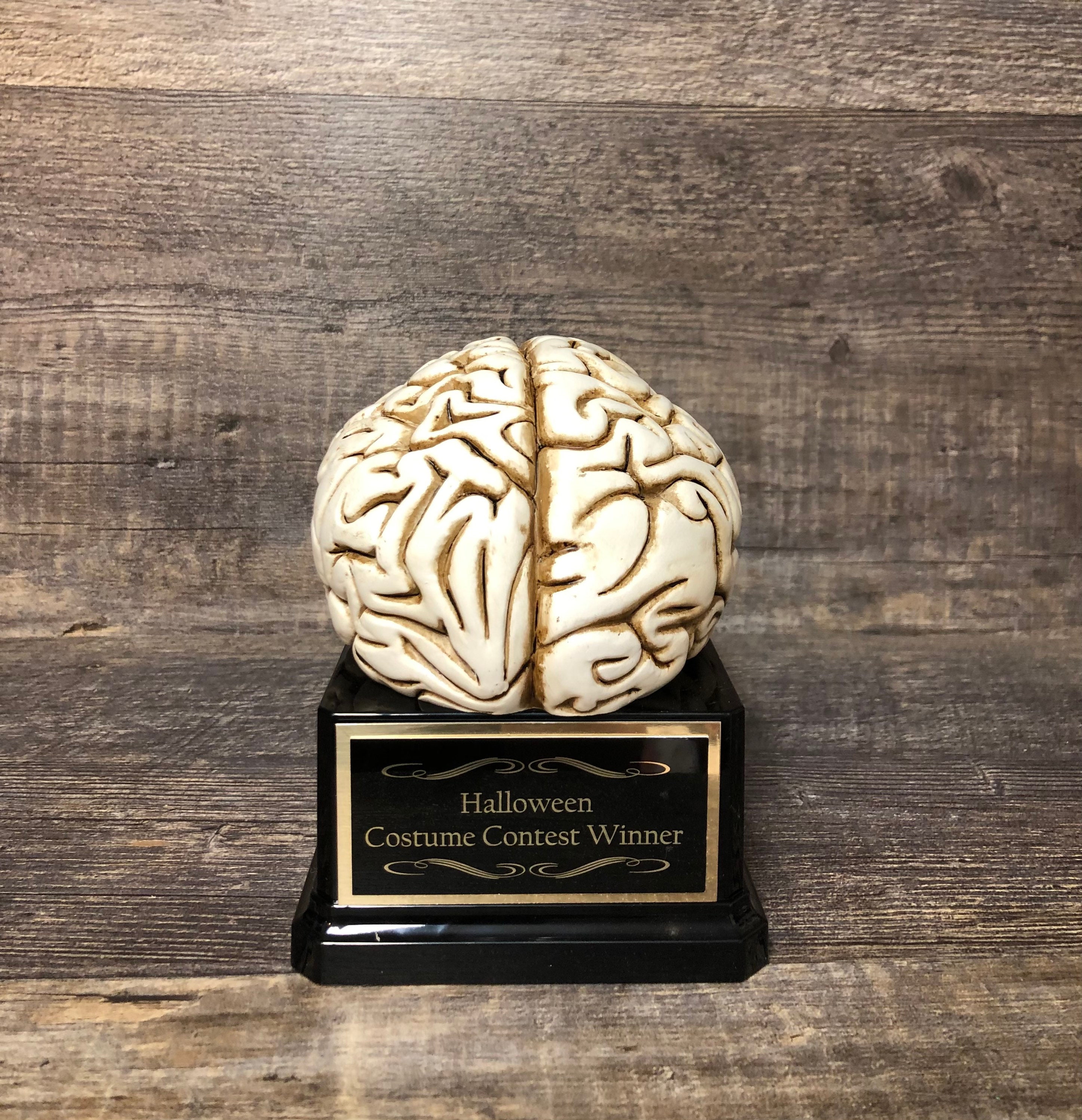 Funny Trivia Night Trophy Knowledge Bowl Brain Family Game - Etsy