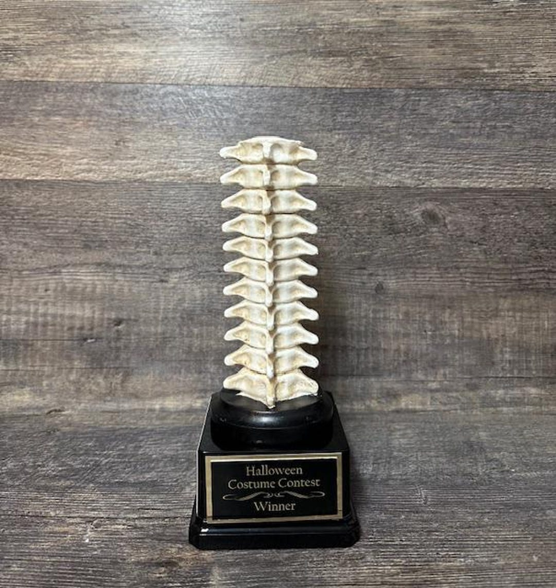 Funny Trophy Have A Backbone Spine Trophy You Finally Have A Back Bone ...