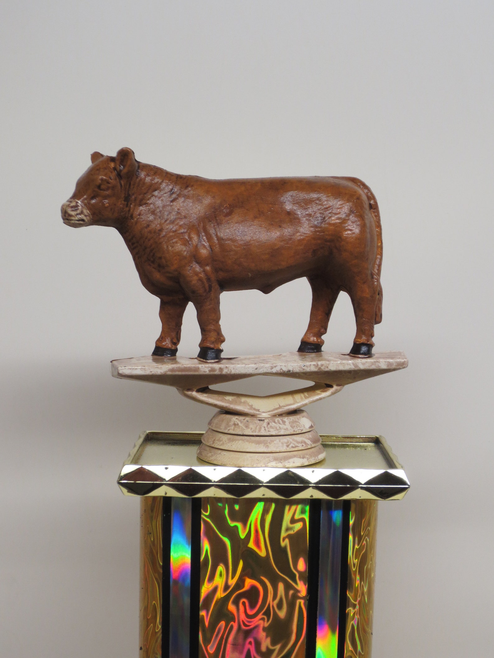 BBQ Trophies Cow Trophy Trophies Best BBQ Cook off Trophies Brisket ...