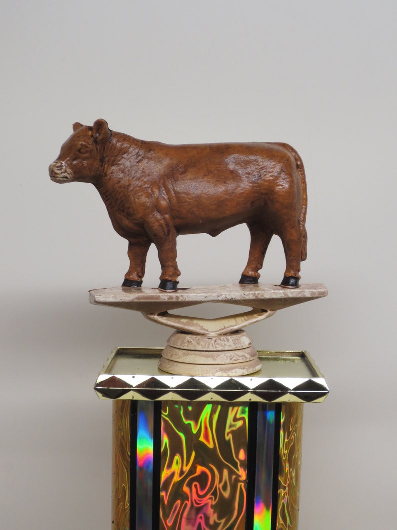 BBQ Trophies Cow Trophy Trophies Best BBQ Cook off Trophies Brisket ...