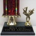 Funny Trophy Holy Cow You're Amazing Trophy Best BBQ Cook off Brisket ...