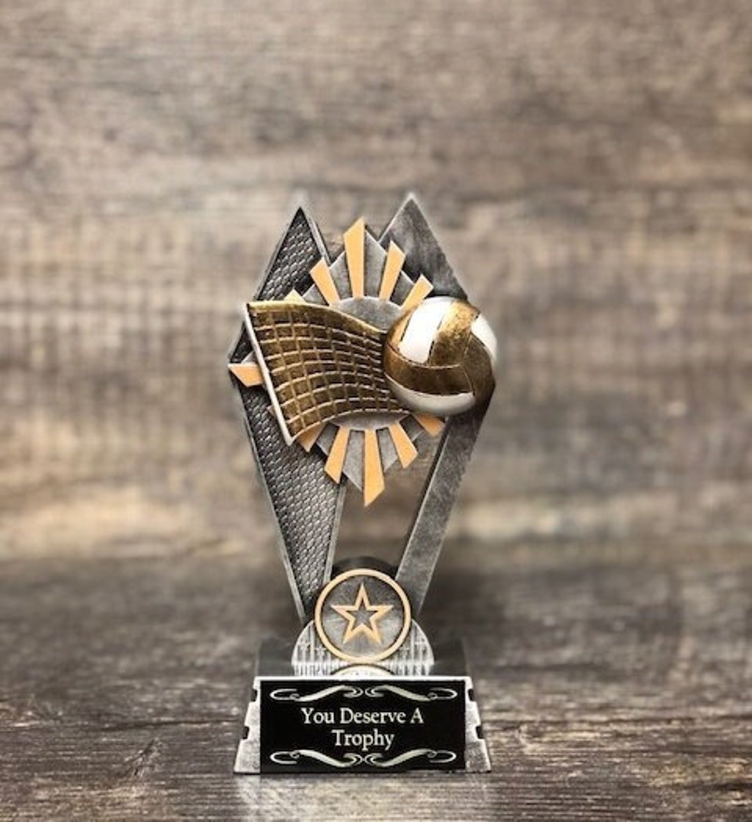 Volleyball Tournament Trophy League Champion Trophy Bragging Rights ...