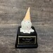 Strawberry Ice Cream Cone Trophy Best Dessert Trophy Competition Trophy ...
