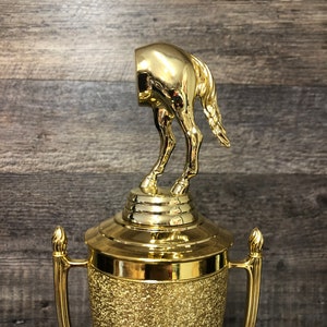 Funny Trophy Biggest Ass Award Jack Ass Trophy Cup Loser Award Adult ...