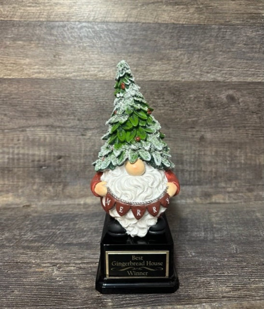 Best Decorated Tree Trophy Best House Holiday Lights Gnome Neighborhood ...