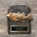 Fishing Trophy Plaque Bass Fishing Derby Tournament Trophy Award ...