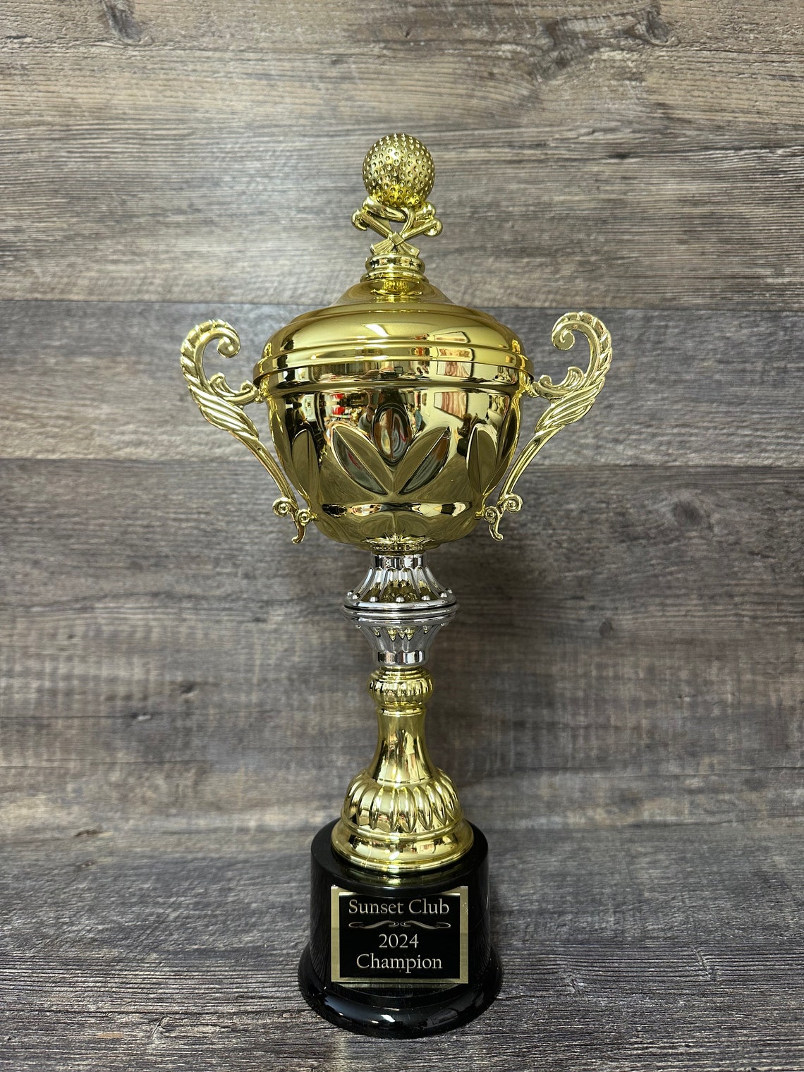 Golf Trophy Cup Tournament Trophy Hole in One Award Charity Event ...
