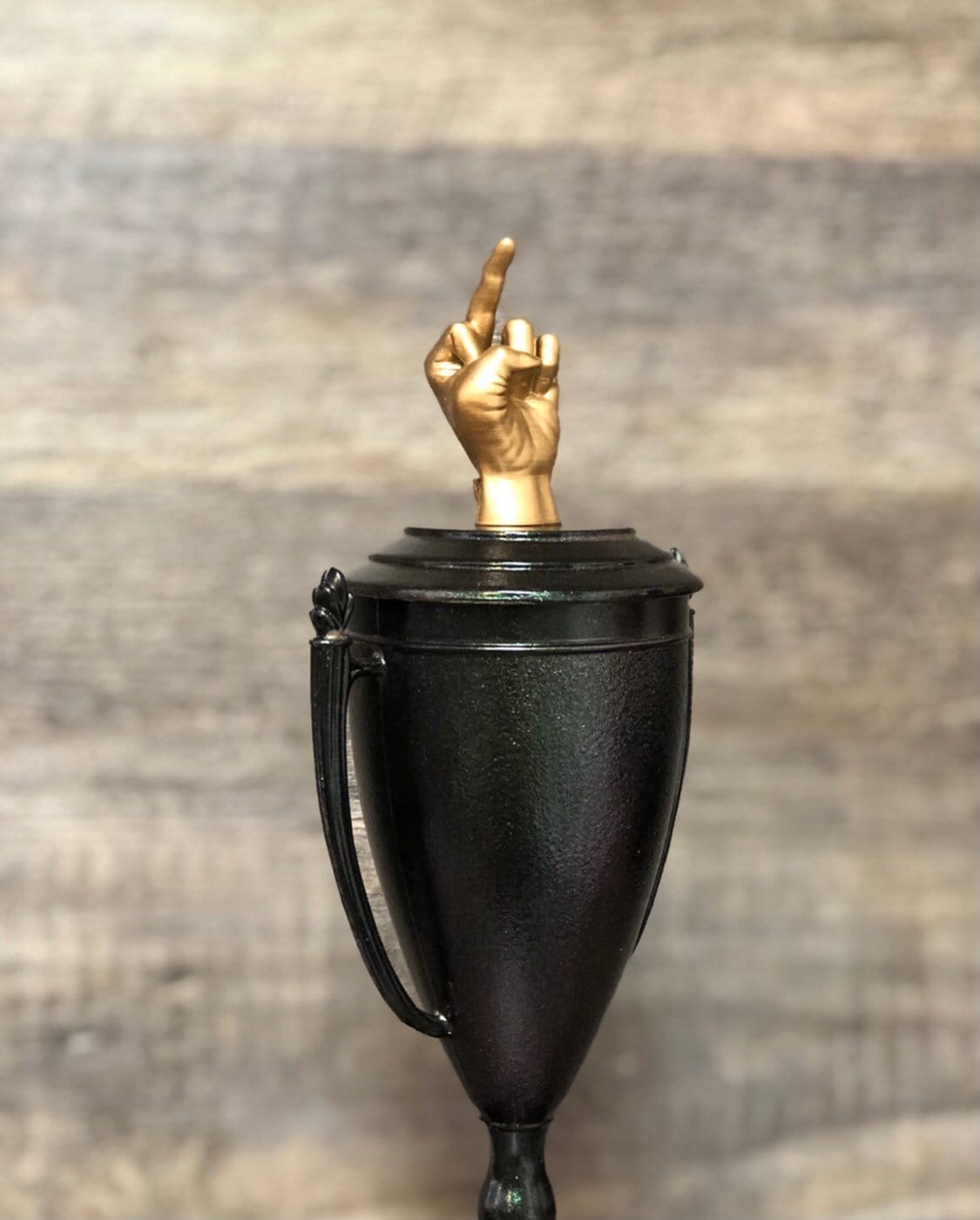 Middle Finger Funny Trophy Iridescent Cup Award FFL Loser - Etsy