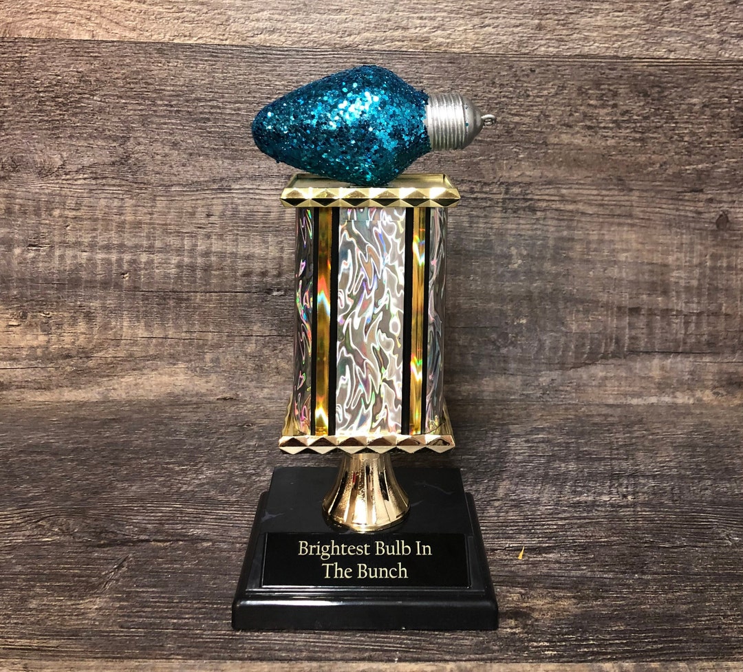 Best Decorated House Christmas Lights Trophy Neighborhood Brightest ...