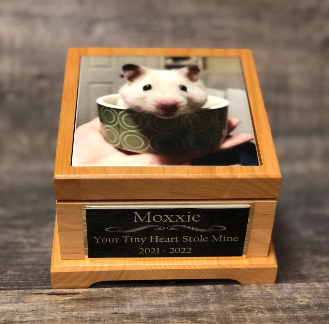 Hamster Urn Mouse Urn Guinea Pig Urn Small Animal Pet Urn Bunny Urn Pet ...