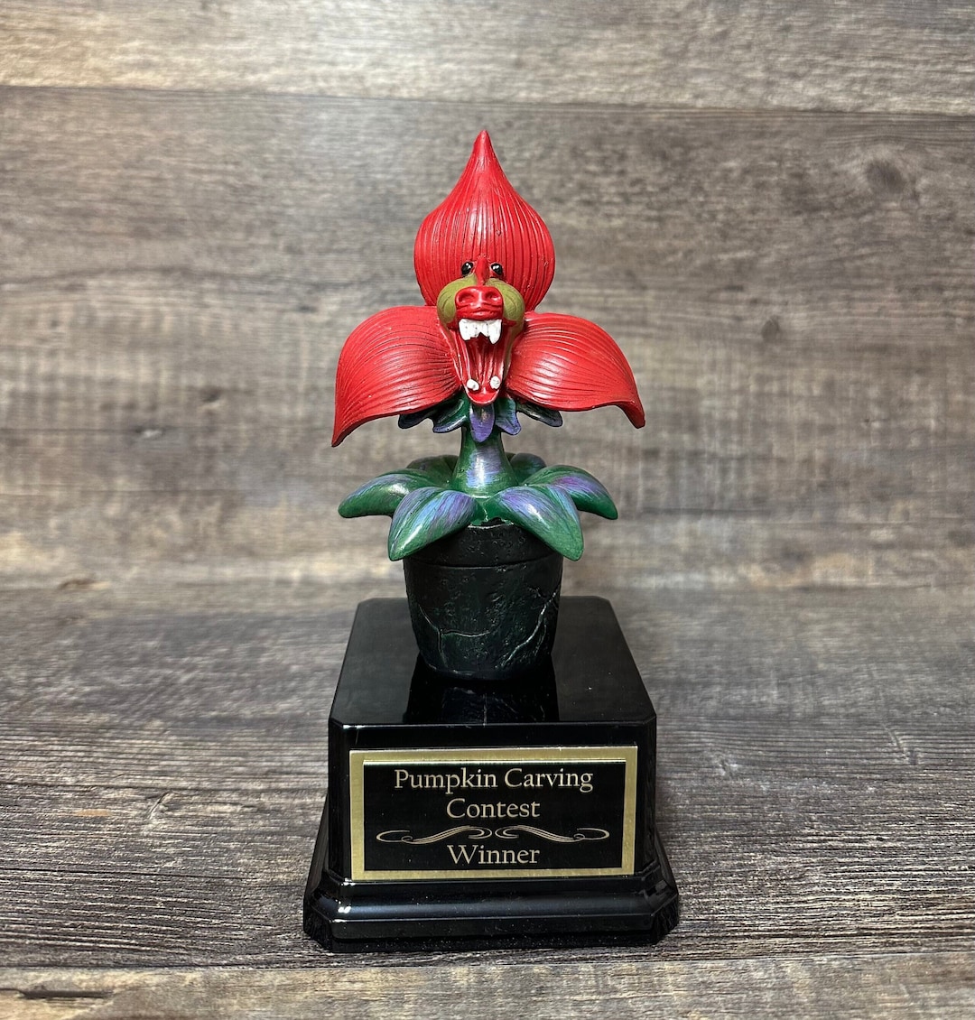 Halloween Trophy Snap Dragon Succulent Plant Halloween Costume Contest ...